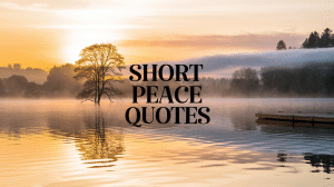 200 Short Peace Quotes to Inspire Your Day - TheClassyChapter