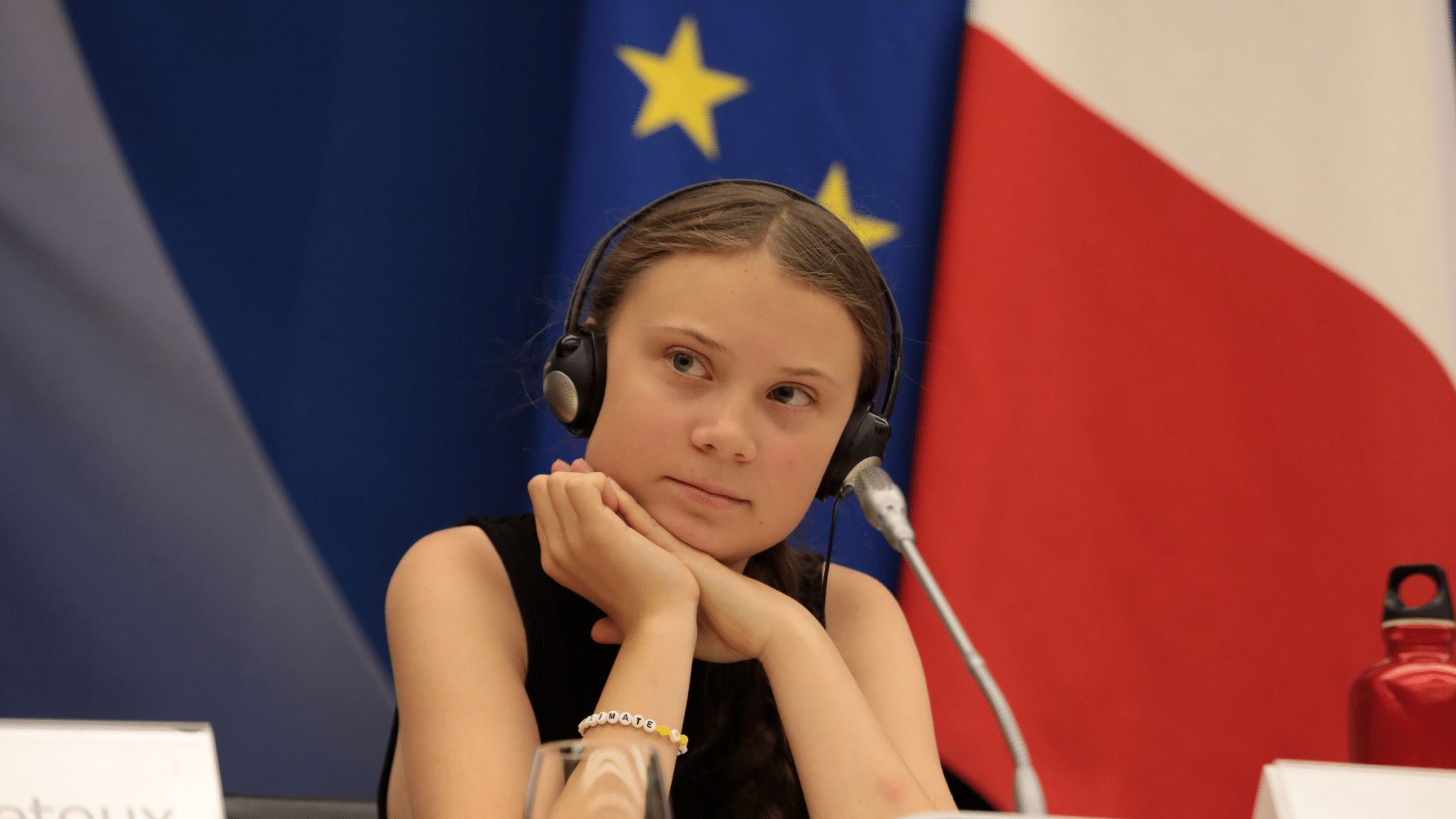 35 Greta Thunberg Quotes for Climate Change Awareness - The Classy Chapter