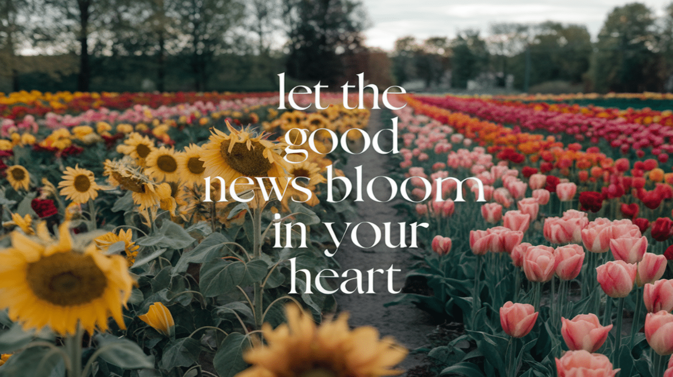 150 Good News Quotes that Will Lift Your Spirits - The Classy Chapter