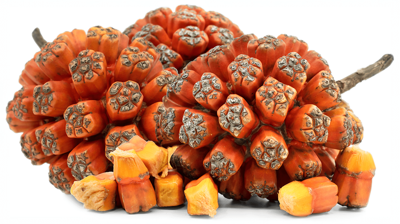 21 Fruit Names that Start with H: A Complete List - TheClassyChapter